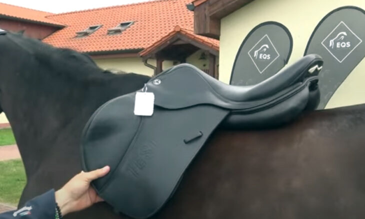 JAK VYBRAT IDEÁLNÍ SEDLO? - EQS magazín